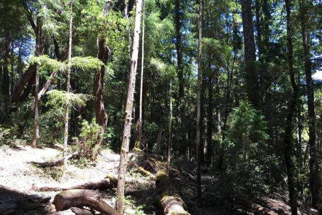 Durphy Creek Loop - AdventureHacks