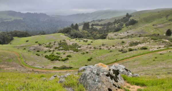 Upper Mount Burdell Trail - Mount Burdell Open Space