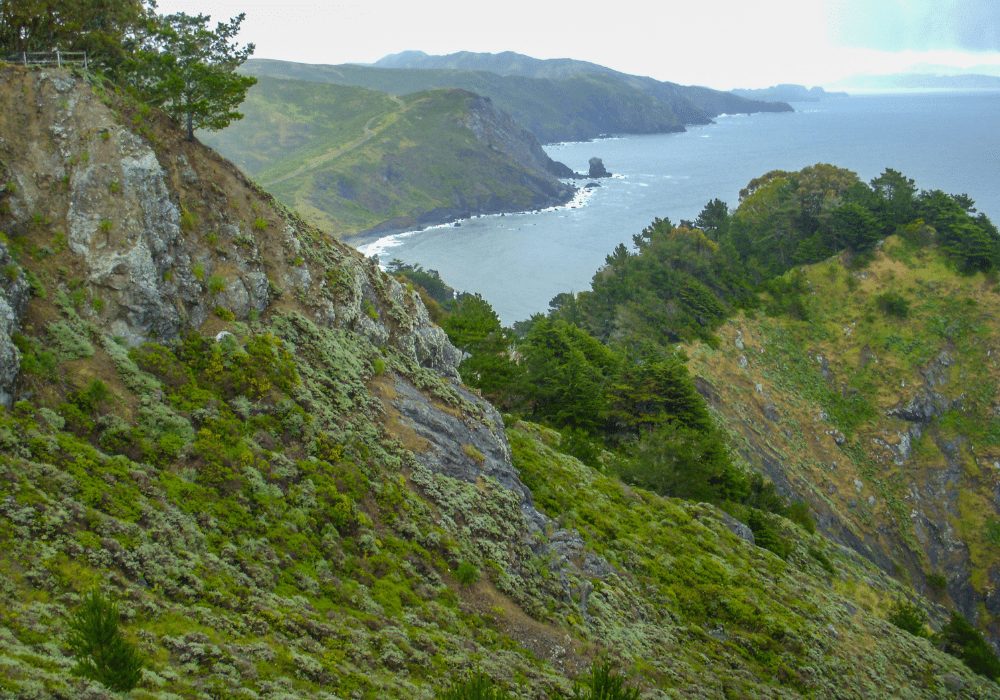 California Coastal Trail: Section 30 - Mount Tamalpais State Park