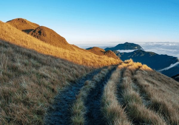 Upper Mount Burdell Trail - Mount Burdell Open Space