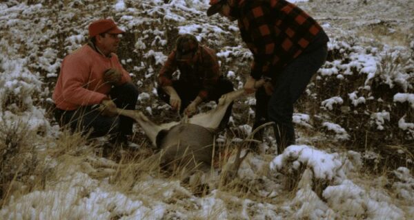 Best Places for Hunting in North America | AdventureHacks